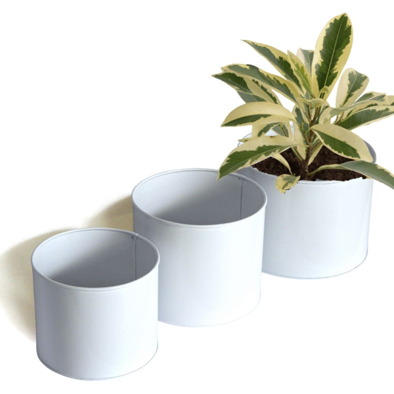 Buy Centuria Metal Plant Pots in India at Best Price - Zop