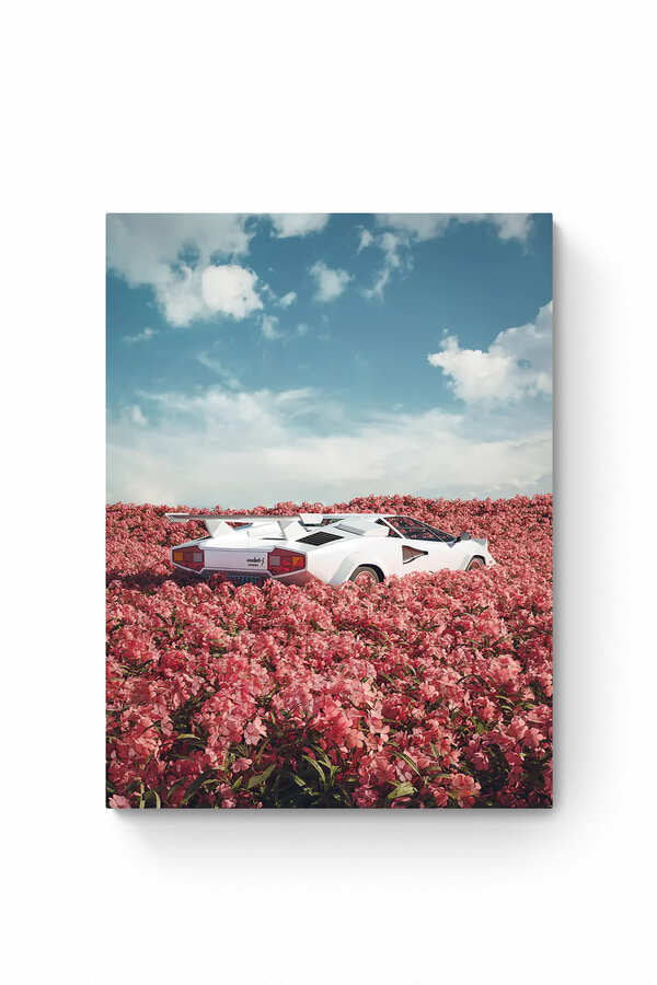 Buy WHEEL OF FLORA in India at Best Price - Zop