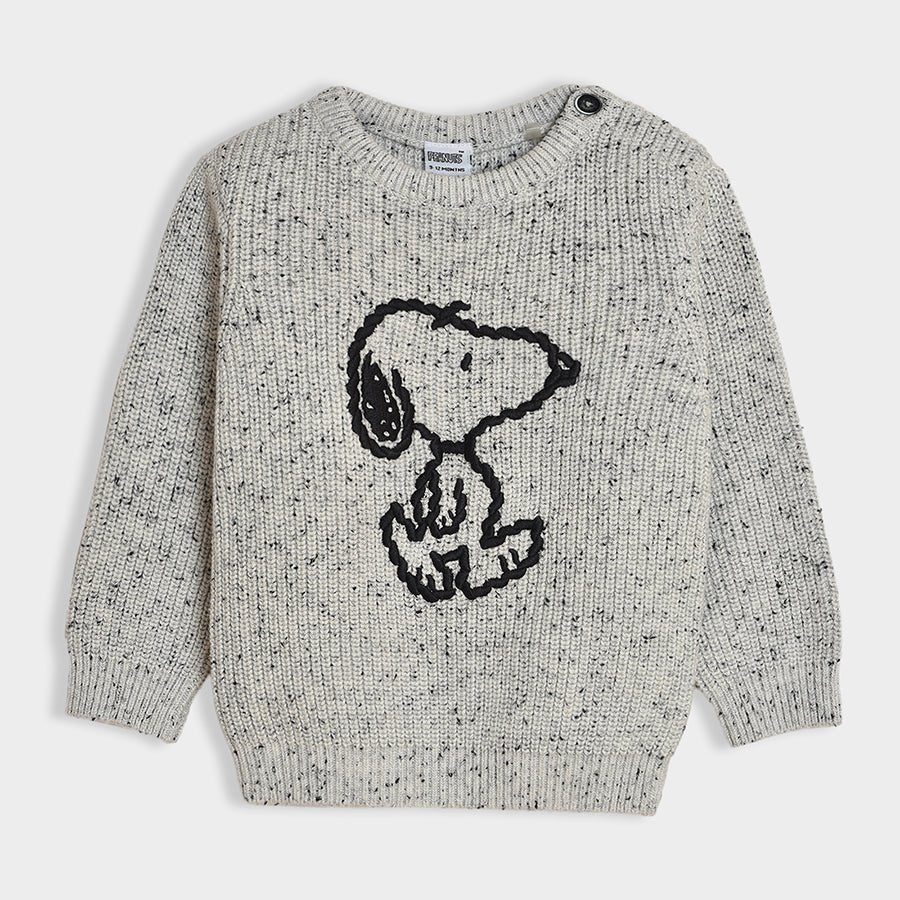 Peanuts™ Snoopy Pattern Chunky Sweater Grey – Zop